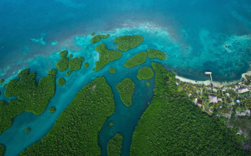 Water Caye : L'Île Exceptionnelle du Belize, Vente aux enchères